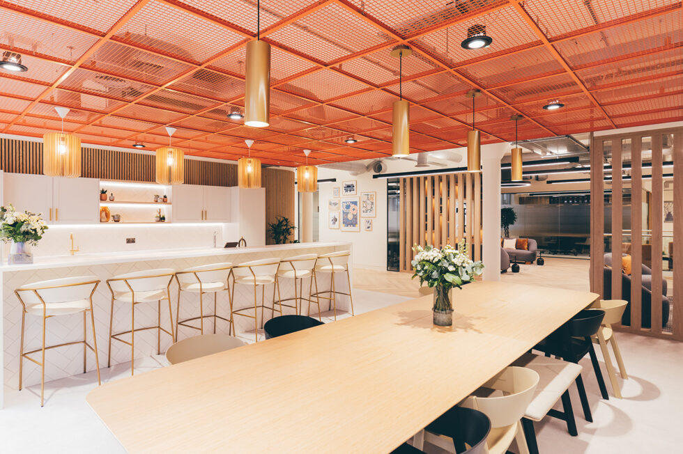 Wire Mesh Ceilings, Canopies & Lighting | Banker Wire