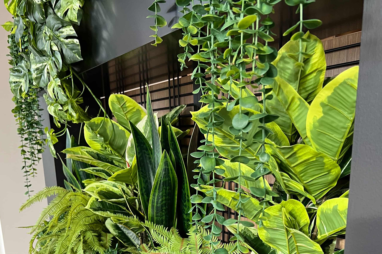 Indoor Welded Wire Mesh Trellis | Banker Wire